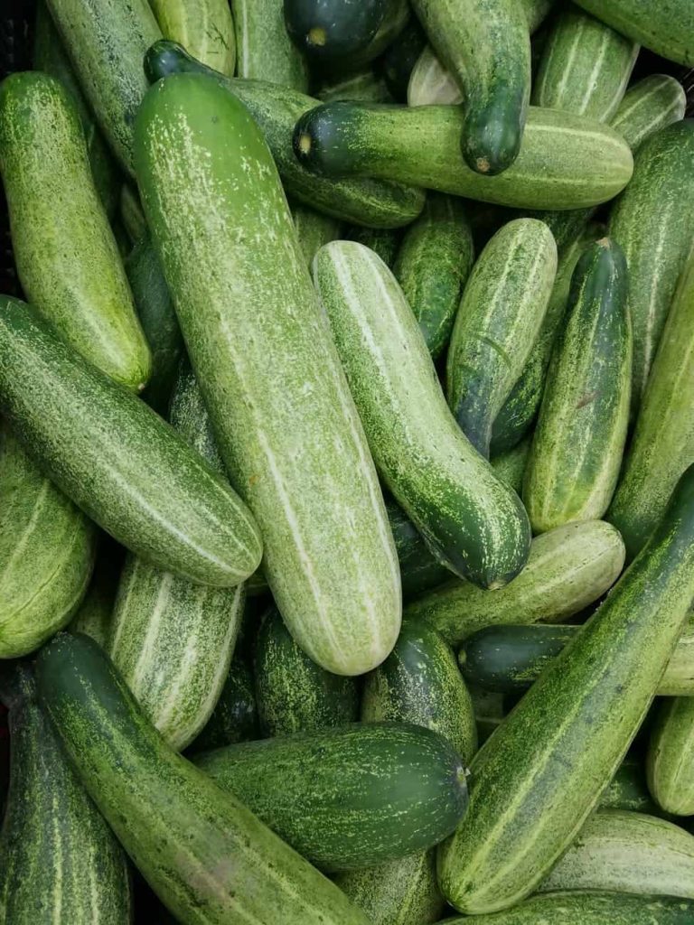 Stay Hydrated Naturally With These 20 Water-Filled Fruits