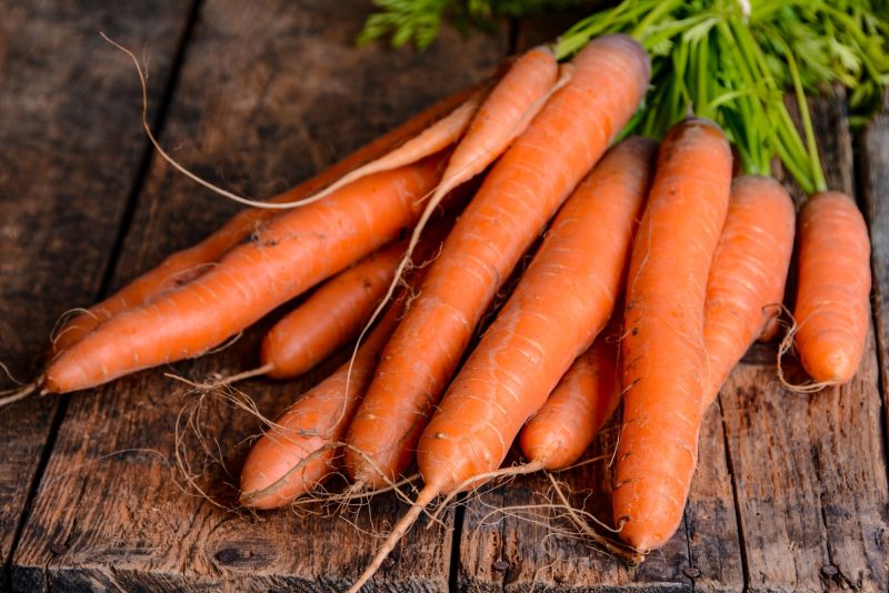 What Vegetables Grow Well in Florida During Winter?