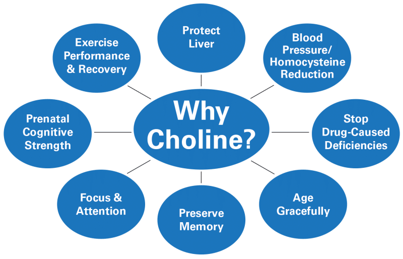 Choline: Uses, Benefits, Food Sources, and Side Effects