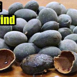 21 Popular Albanian Fruits