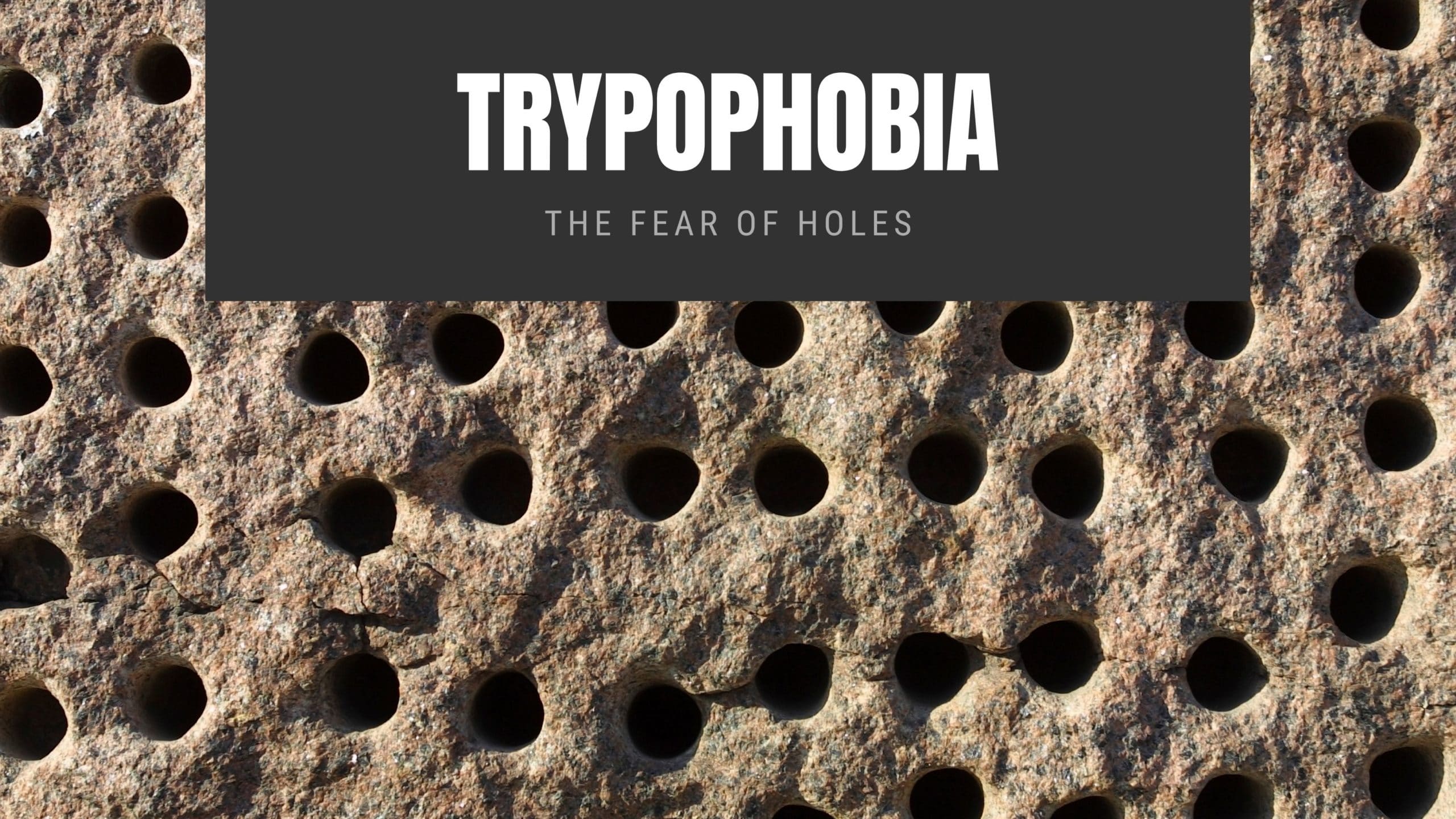 Trypophobia The Fear Of Holes