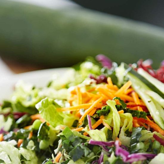 10 Different Types of Horns (Instrument)