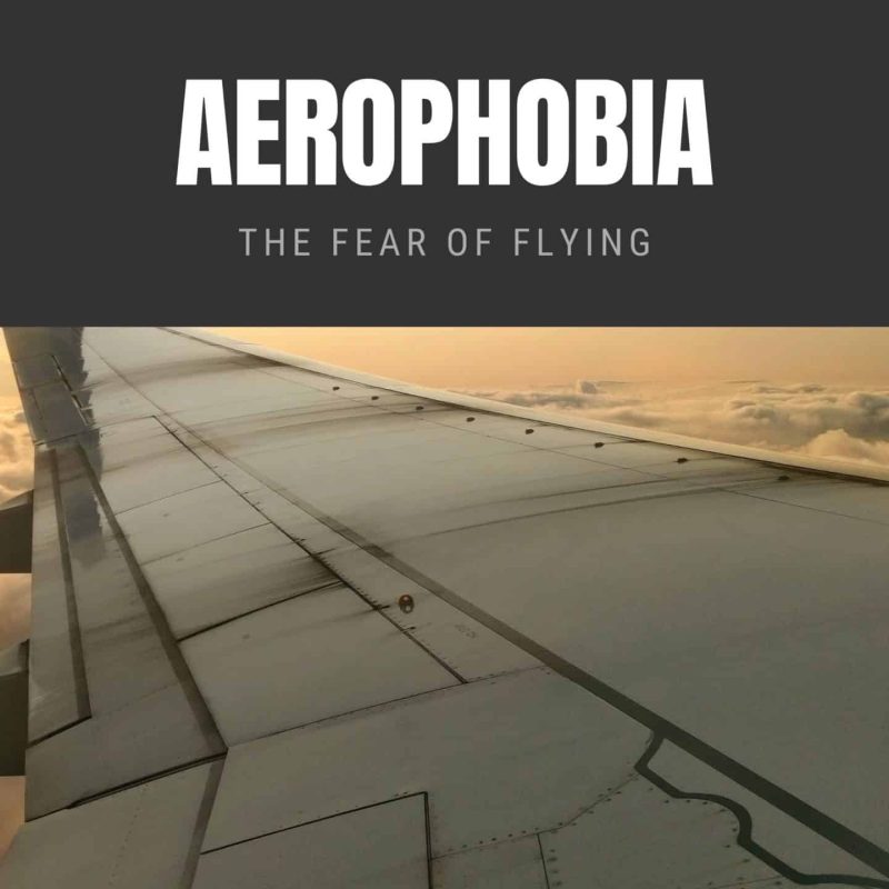 Capiophobia: The Fear of Police