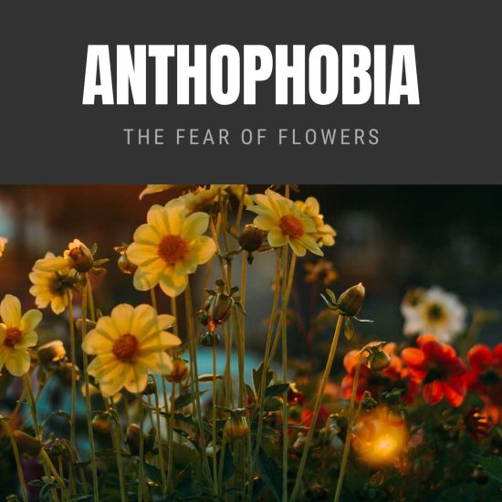 Pedophobia: The Fear of Children