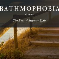 Chiroptophobia: The Fear of Bats