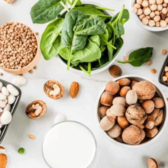 9 Different Types of Prawns