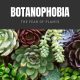 Anthophobia: The Fear of Flowers