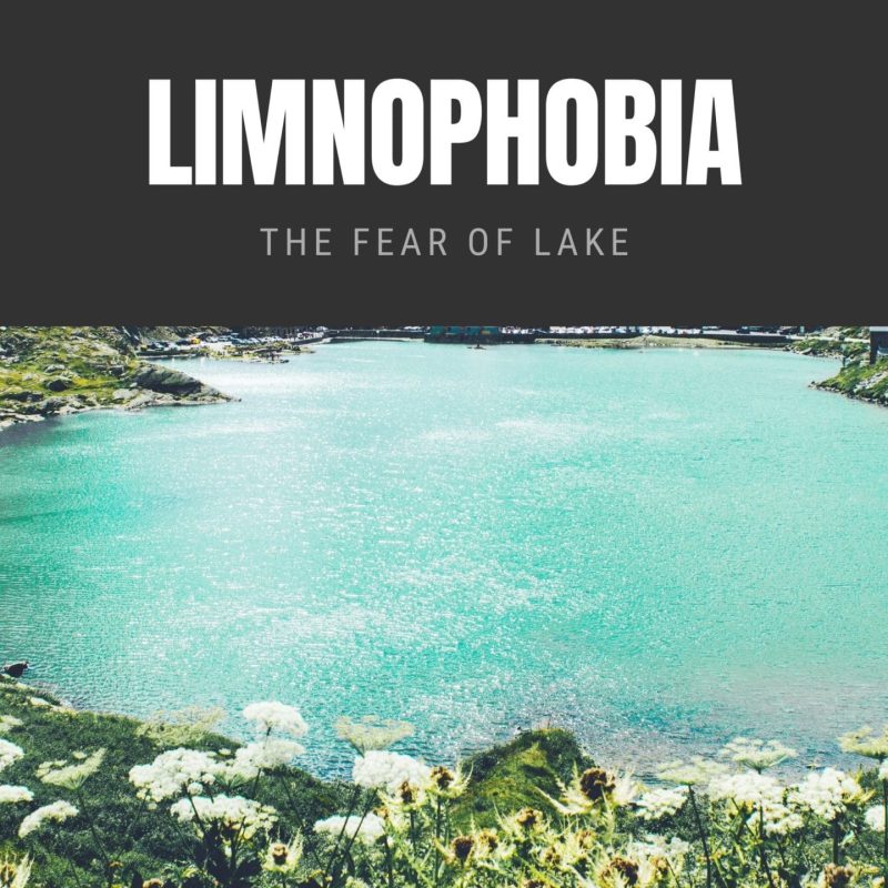 Taphophobia: The Fear of Being Buried Alive