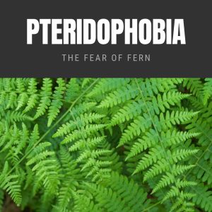 Thanatophobia: The Fear of Death