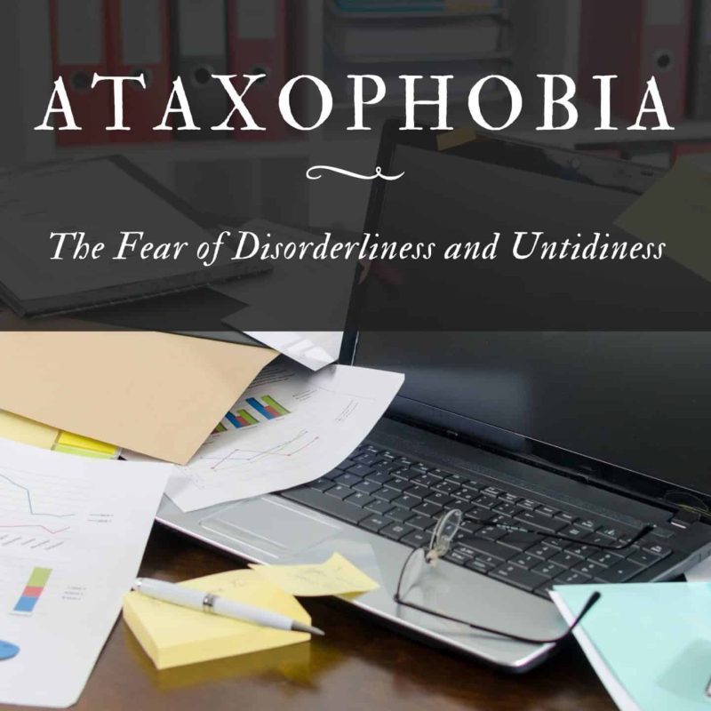 Hippopotomonstrosesquippedaliophobia: The Fear of Long Words