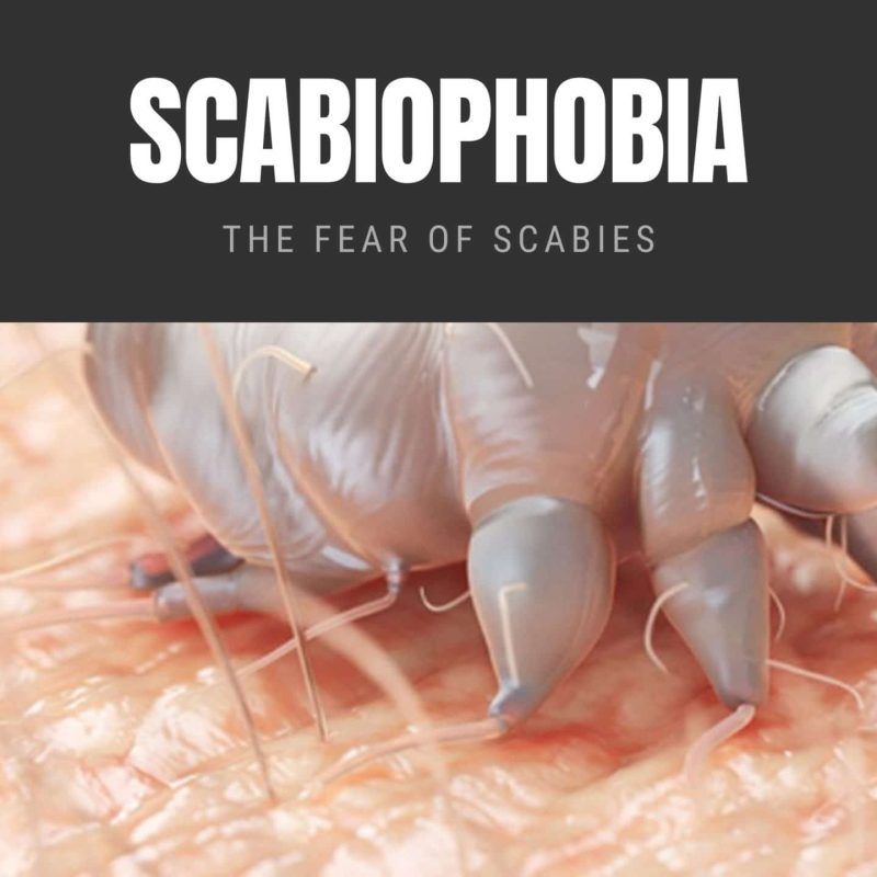 Pedophobia: The Fear of Children