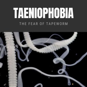 Anemophobia: The Fear of Air