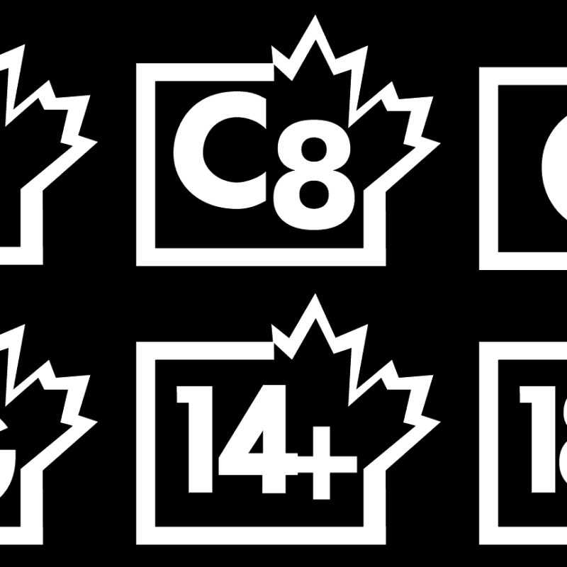 What is a Foster Home? Everything You Need to Know