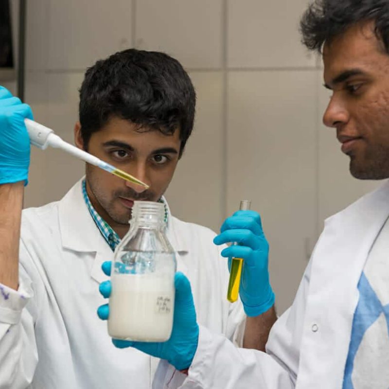 Is Outback Steakhouse Open on Memorial Day?