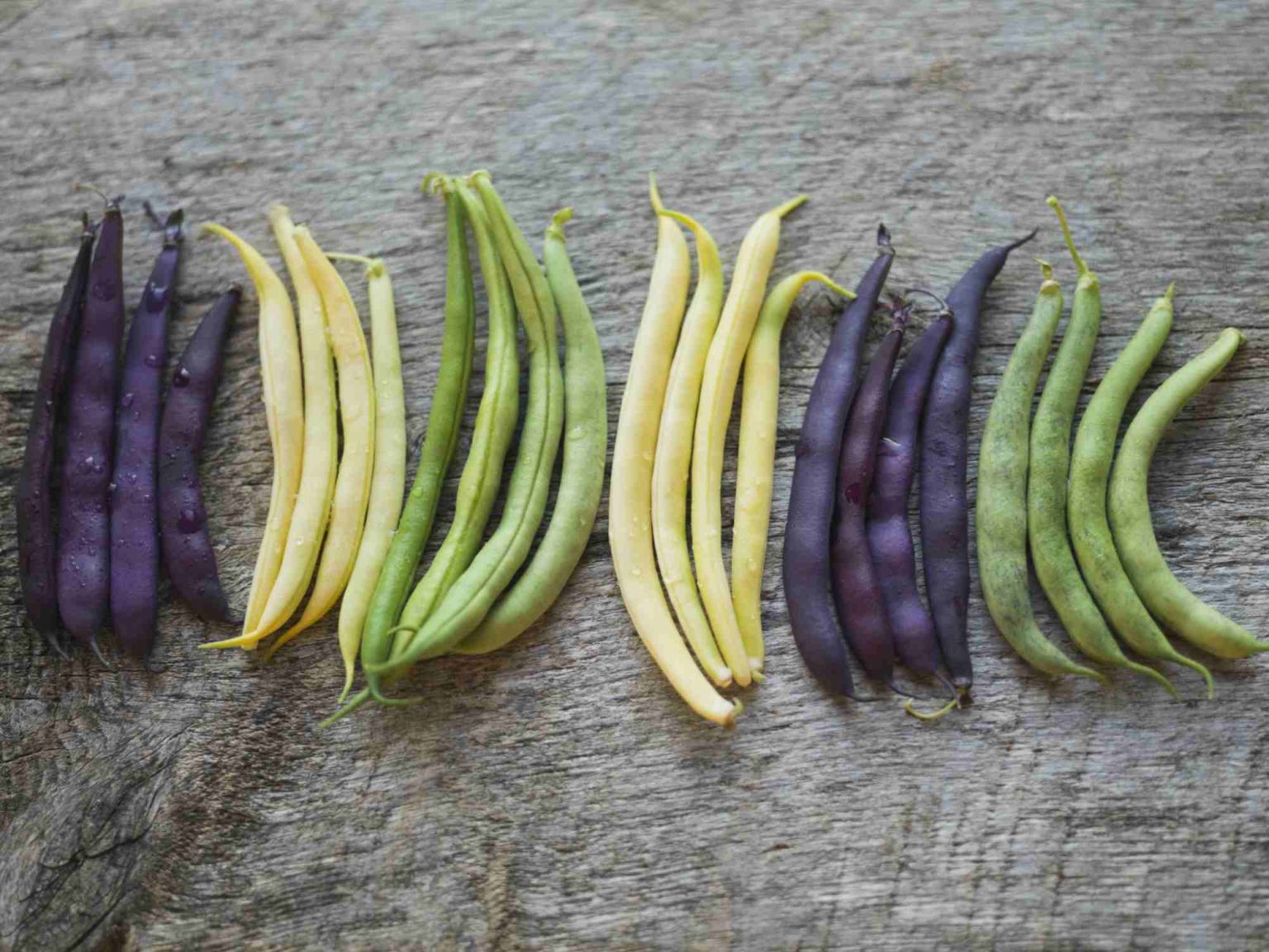 6 Different Types of Green Beans (With Pictures)