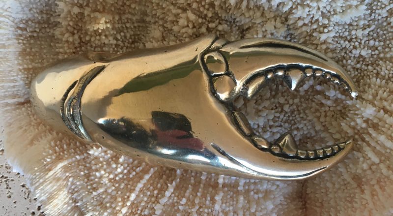 15 Different Types of Can Openers