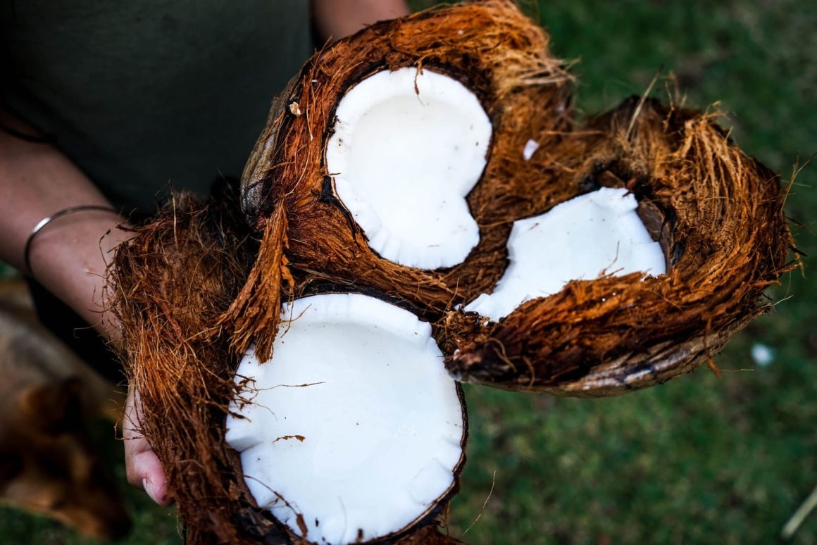 17 Different Types of Coconuts You Should Try