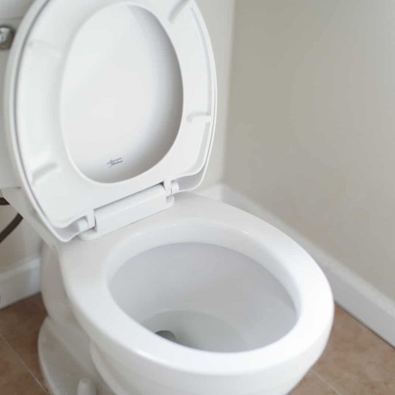 18 Different Types of Toilets Explained