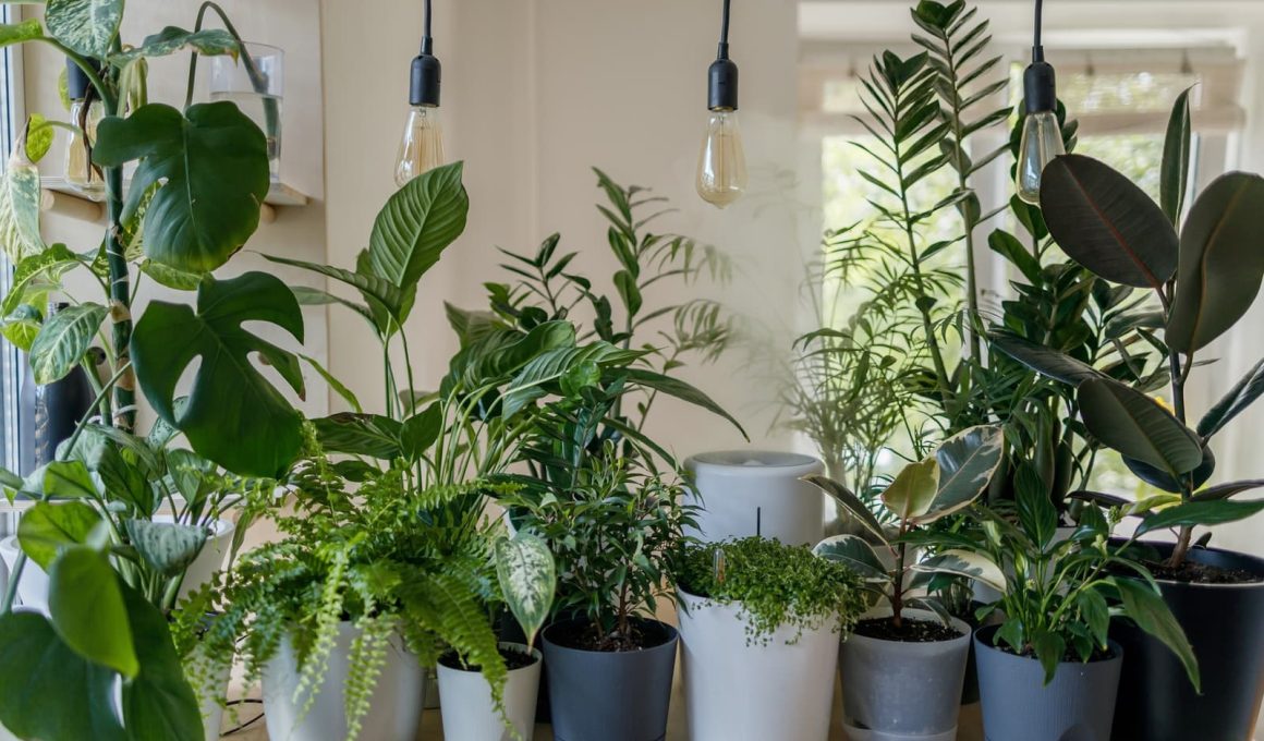15 Types of Plants Found in Tropical Rainforests