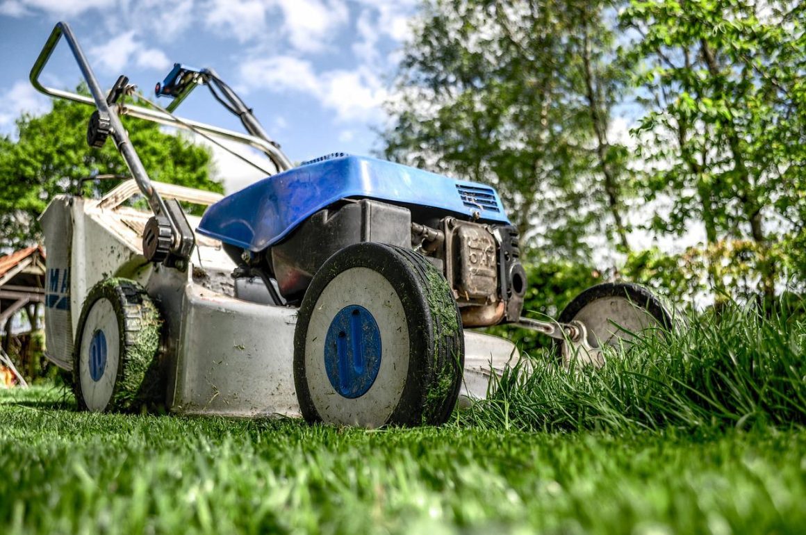 23 Different Types of Lawn Mowers