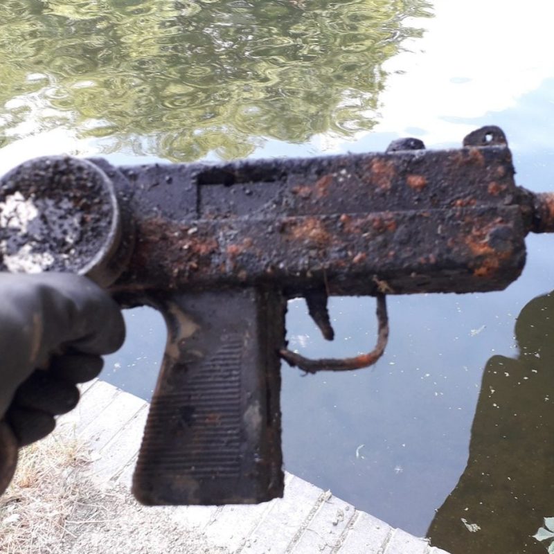 10 Different Types of Horns (Instrument)