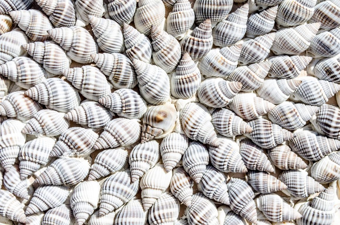 22 Different Types of Foods That Are Gray