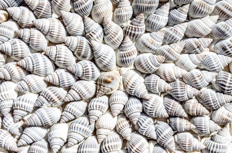 22 Different Types of Foods That Are Gray