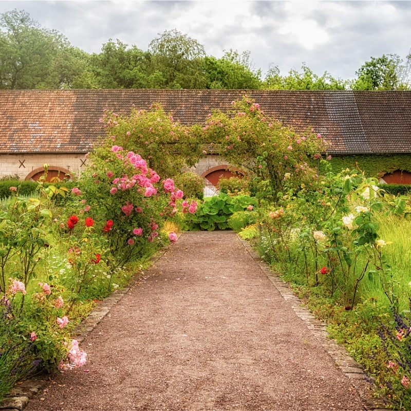 72 Different Types of Shrubs to Spruce Up Your Yard