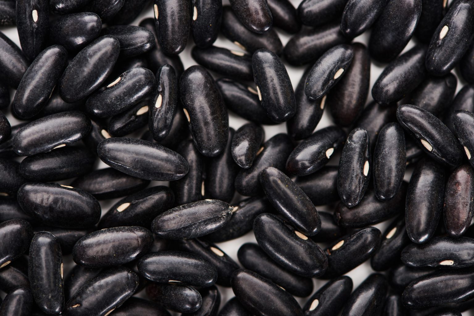 21 Different Types of Beans and Their Names