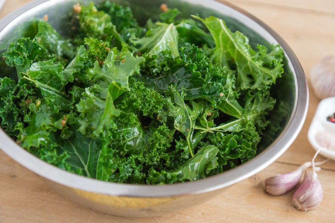 What Vegetables Grow Well in Florida During Winter?