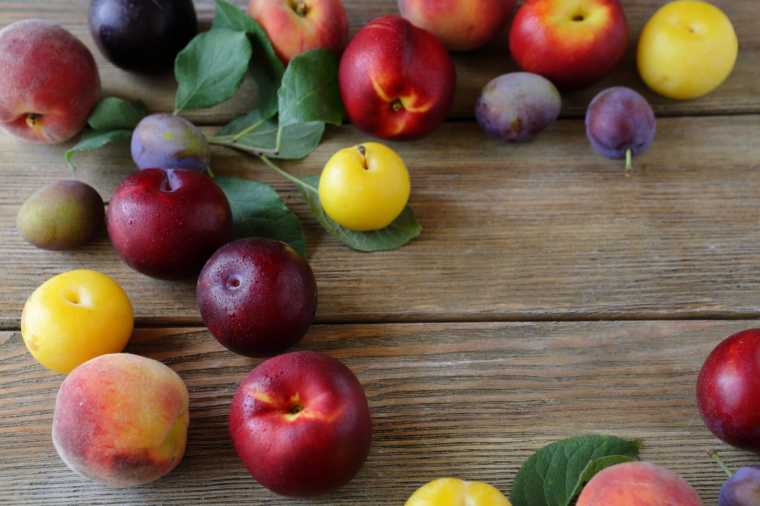 Different Types of Fruits Explained (With Categories and Examples)