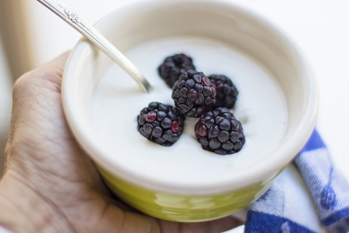 17 Different Types of Yogurts