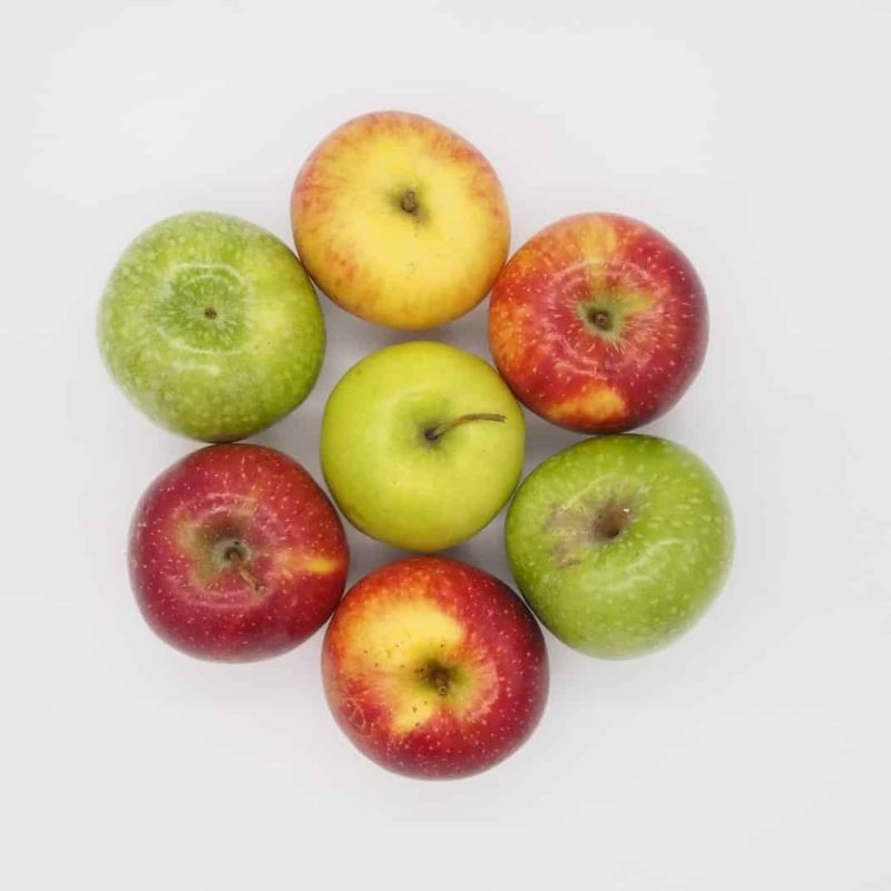 46 Different Types of Clover You Can Plant in Your Garden