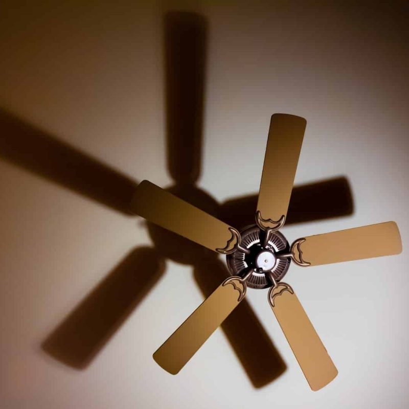 9 Different Types of Fans Explained