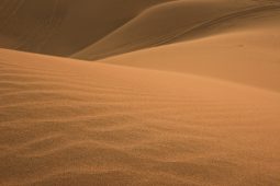 16 Different Types of Sand
