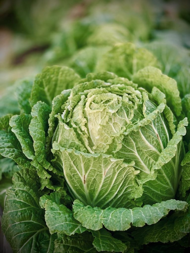 17 Most Popular Vegetables in the World (With Pictures)