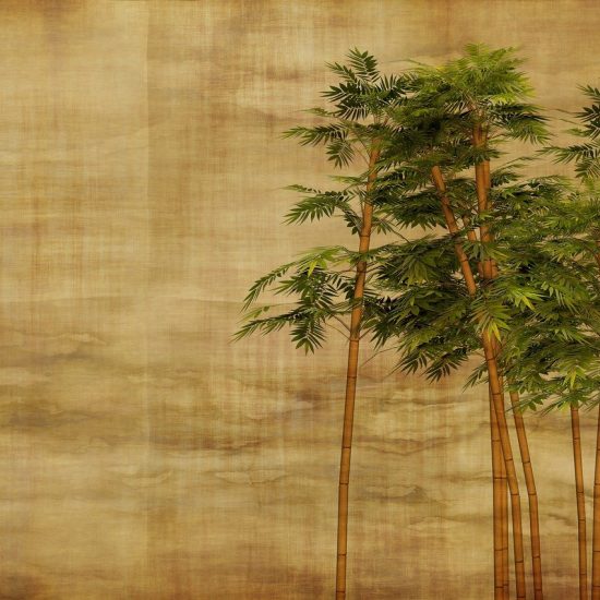 18 Different Types of Bamboo for Garden and Home