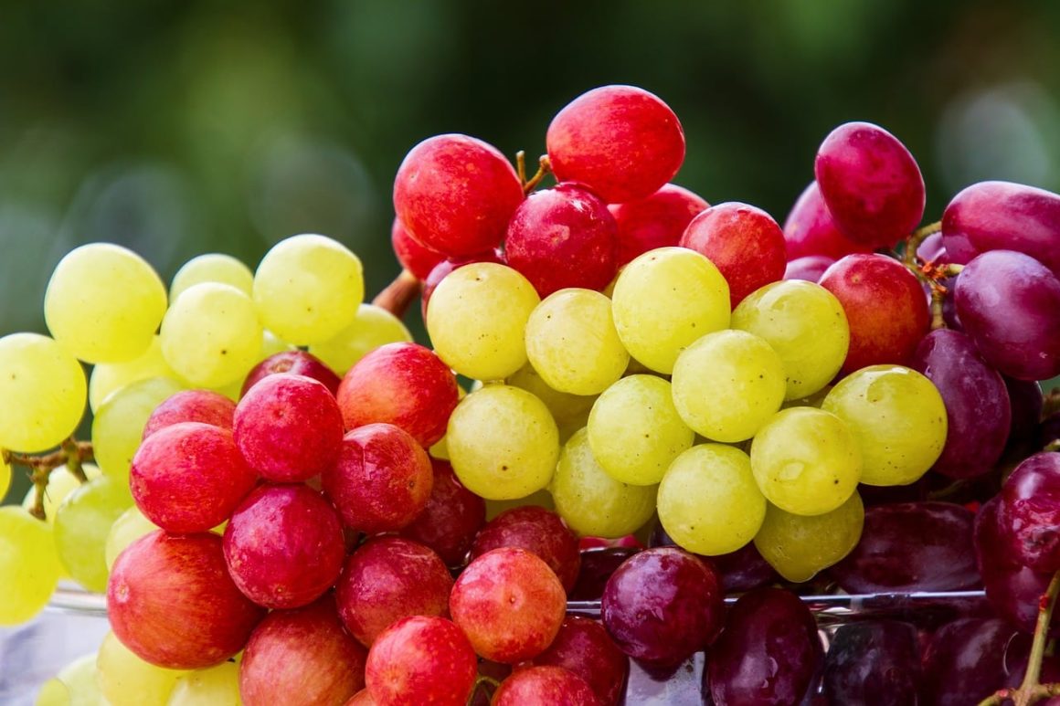 15 Most Popular Fruits in the World (Ranked by Demand & Taste)
