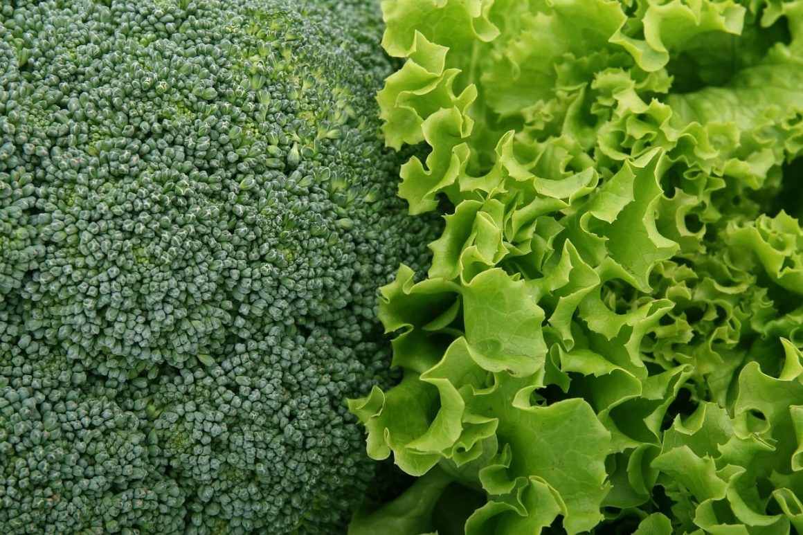 17 Most Popular Vegetables in the World (With Pictures)
