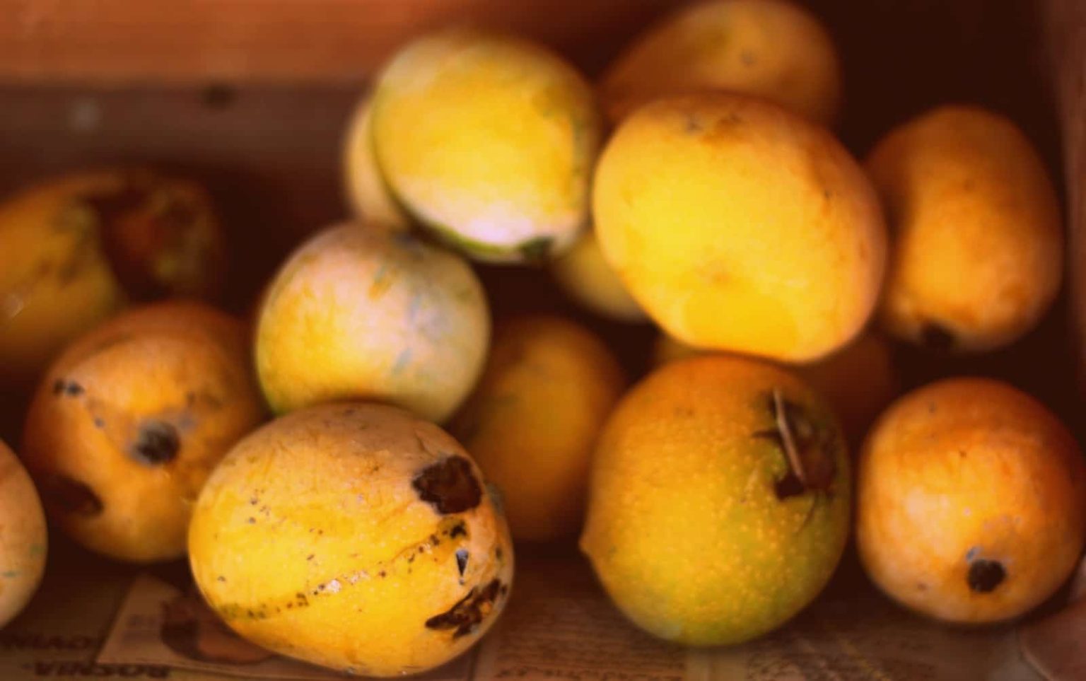 15 Most Popular Fruits in the World (Ranked by Demand & Taste)