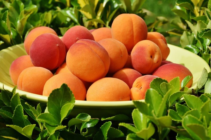 15 Most Popular Fruits in the World (Ranked by Demand & Taste)