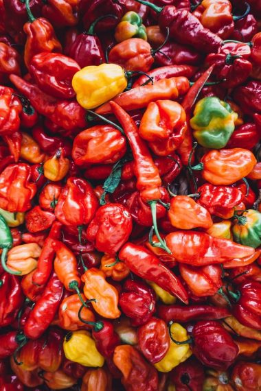 17 Most Popular Vegetables in the World (With Pictures)