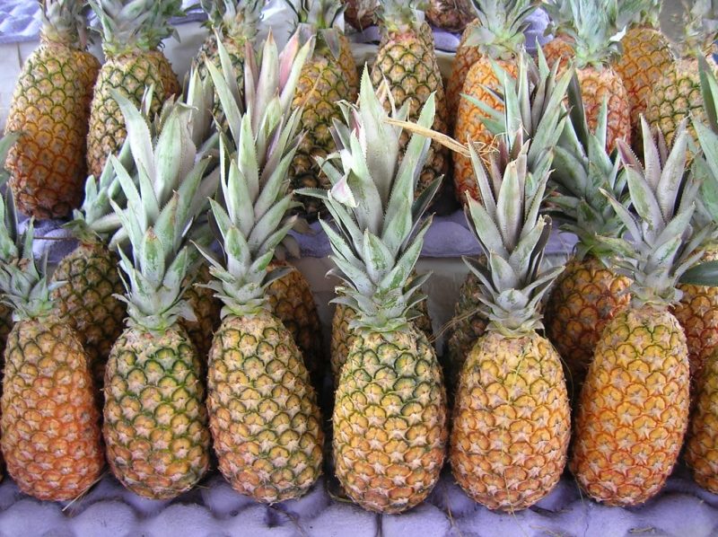 21 Different Types of Pineapple Fruits