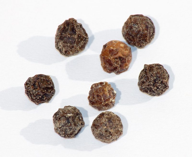 15 Plants That Repel Rats (With Pictures)