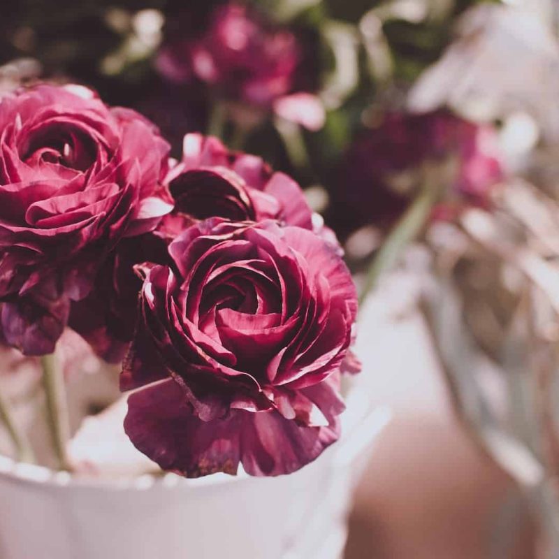 23 Different Types of Aesthetics Explained