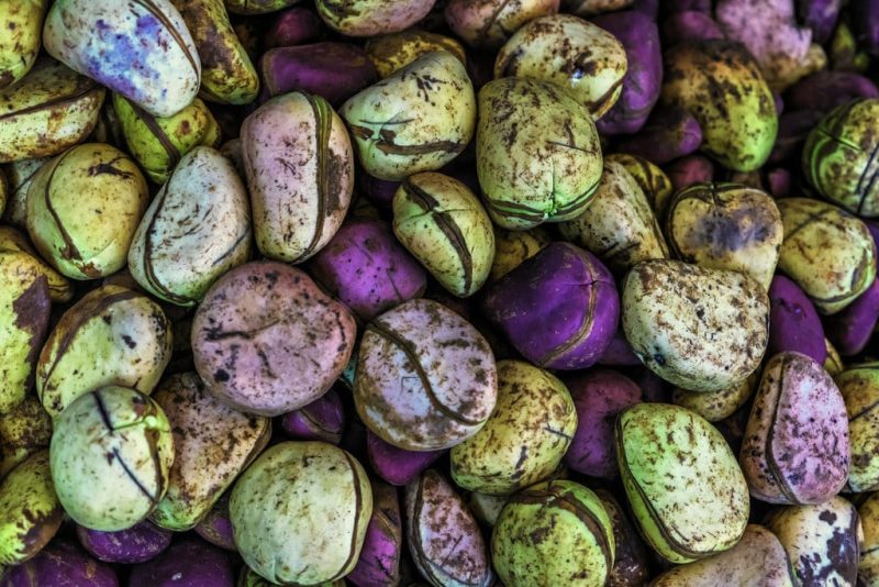 17 Different Types of Edible Nuts (With Pictures)