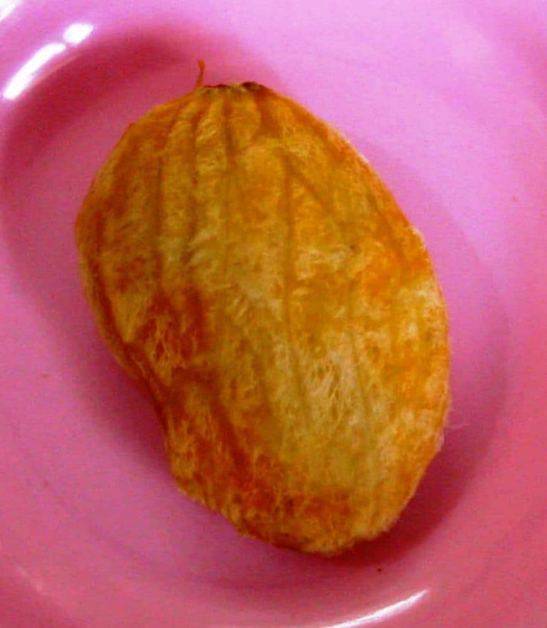 9 Fruits With Big Seeds and Their Pictures
