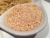 9 Best Substitutes for Nuts You Should Try