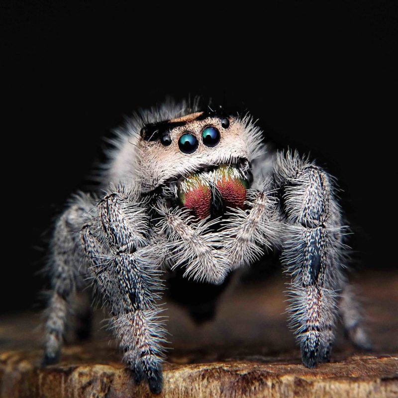 What Causes Excess Dust in a House?