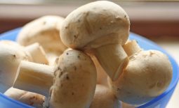 42 Different Types of Mushrooms, From Edible to Poisonous